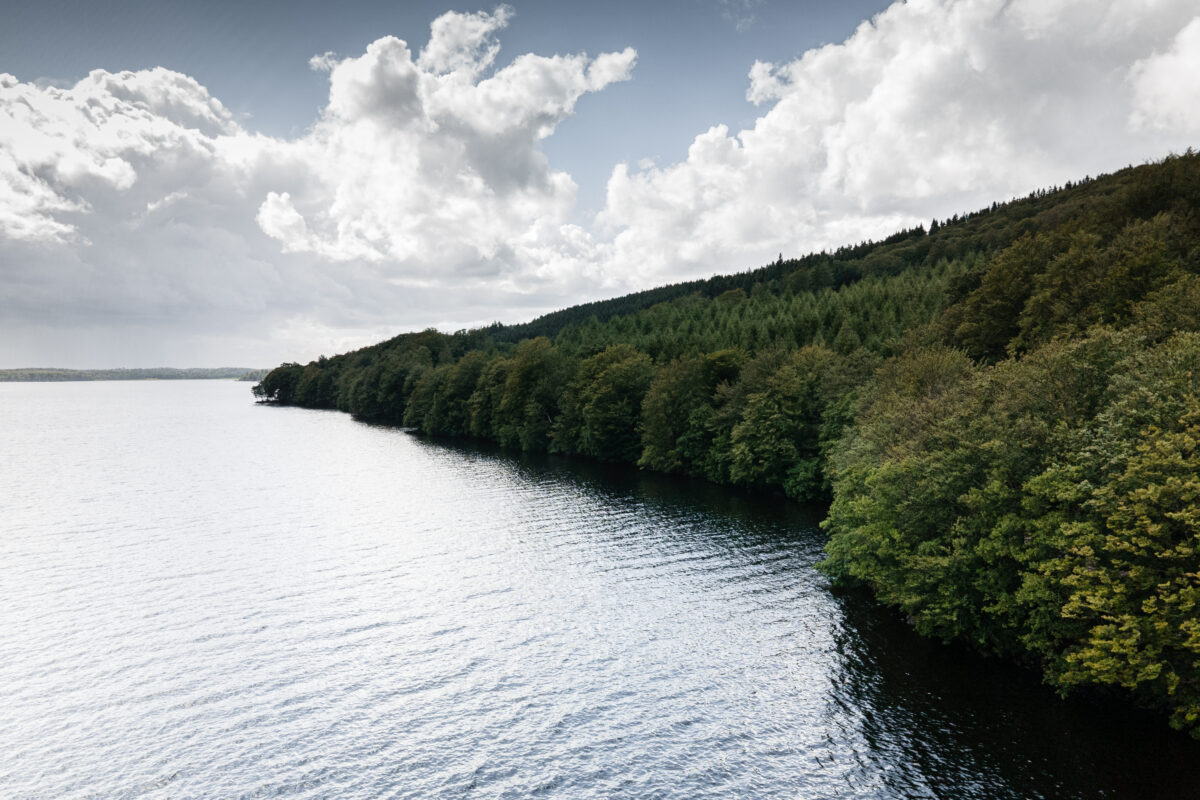 Johan Carle - Mannheimer Swartling