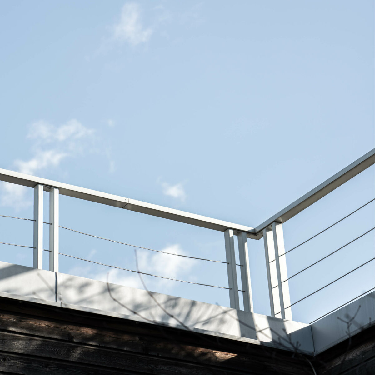 Johan Carle - Mannheimer Swartling