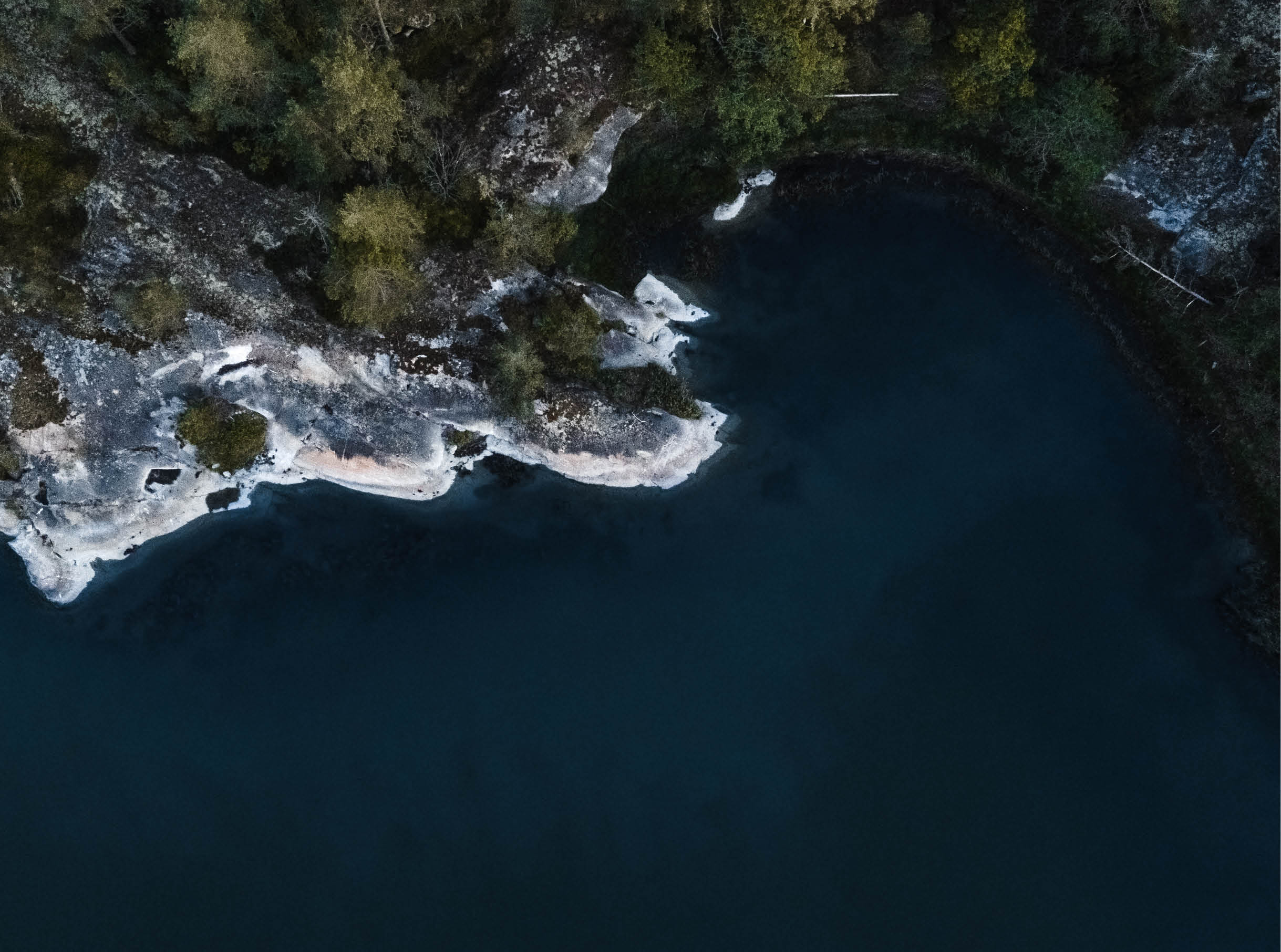 Mannheimer Swartling Sustainability Report 2022 - Mannheimer Swartling