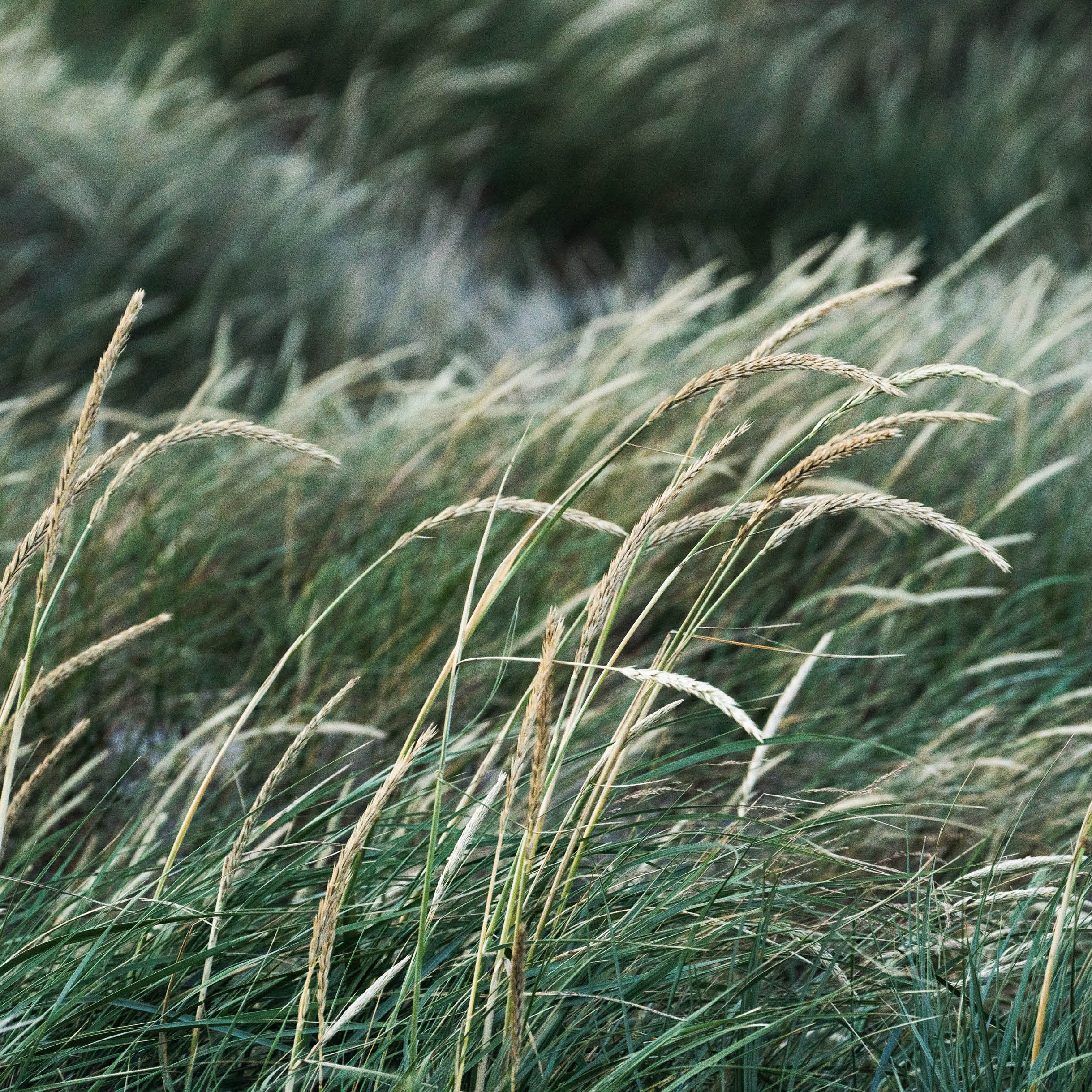 Nordic Climate Group acquires businesses in Finland, Norway, Denmark ...